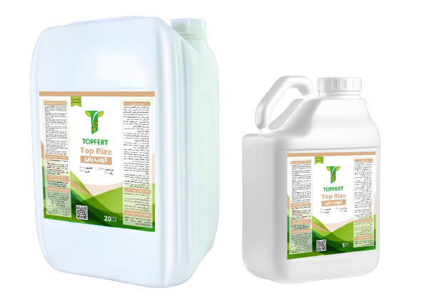 TOP RISE - topfertegypt