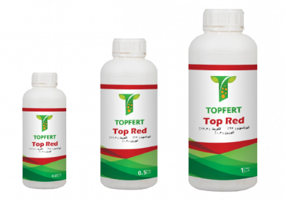 Top Red - topfertegypt